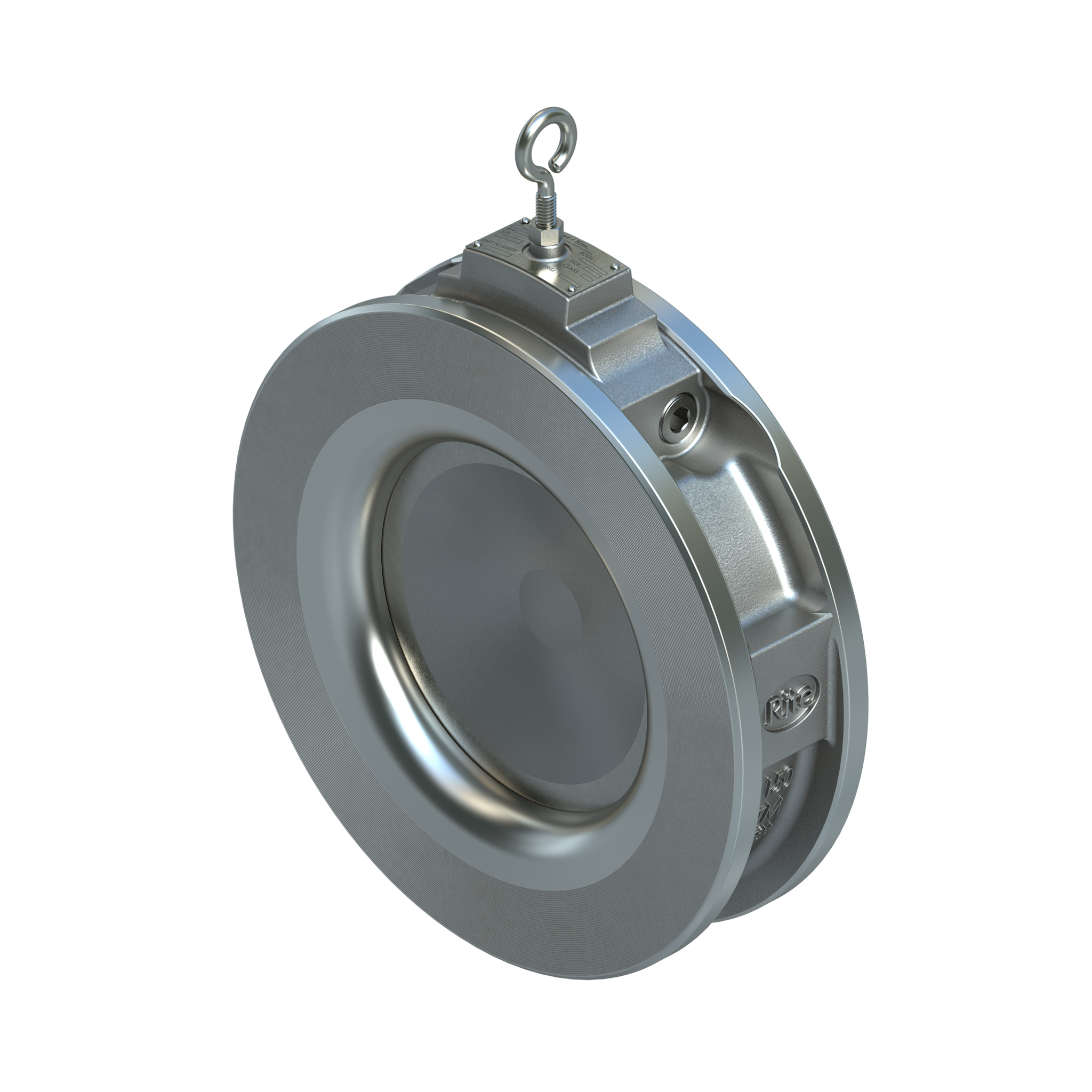 Check Valves | Ritepro Nuclear Solutions